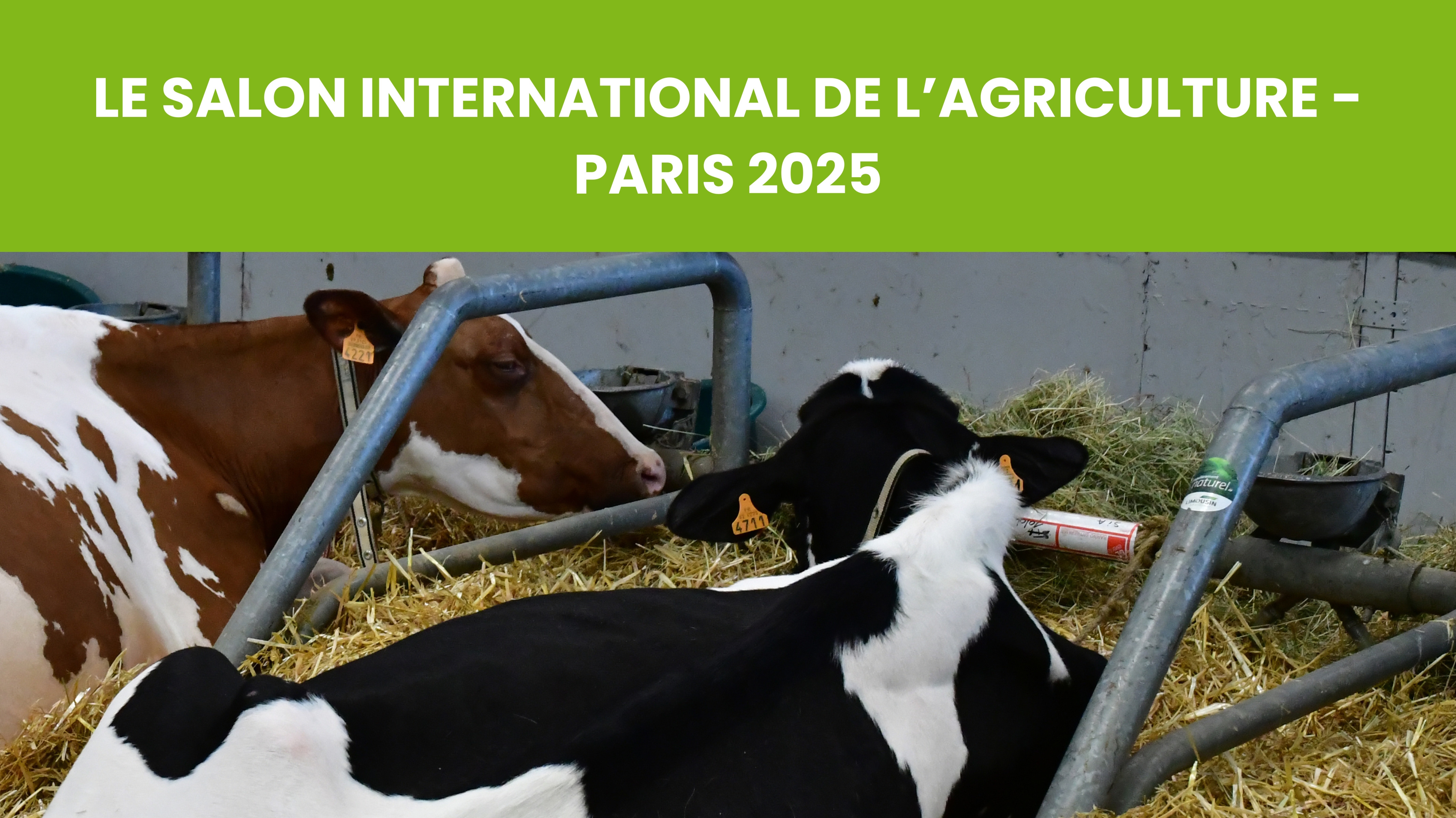 SCAL Voyages - Agence de voyages à Gap, Digne et Barcelonnette - SCAL ...