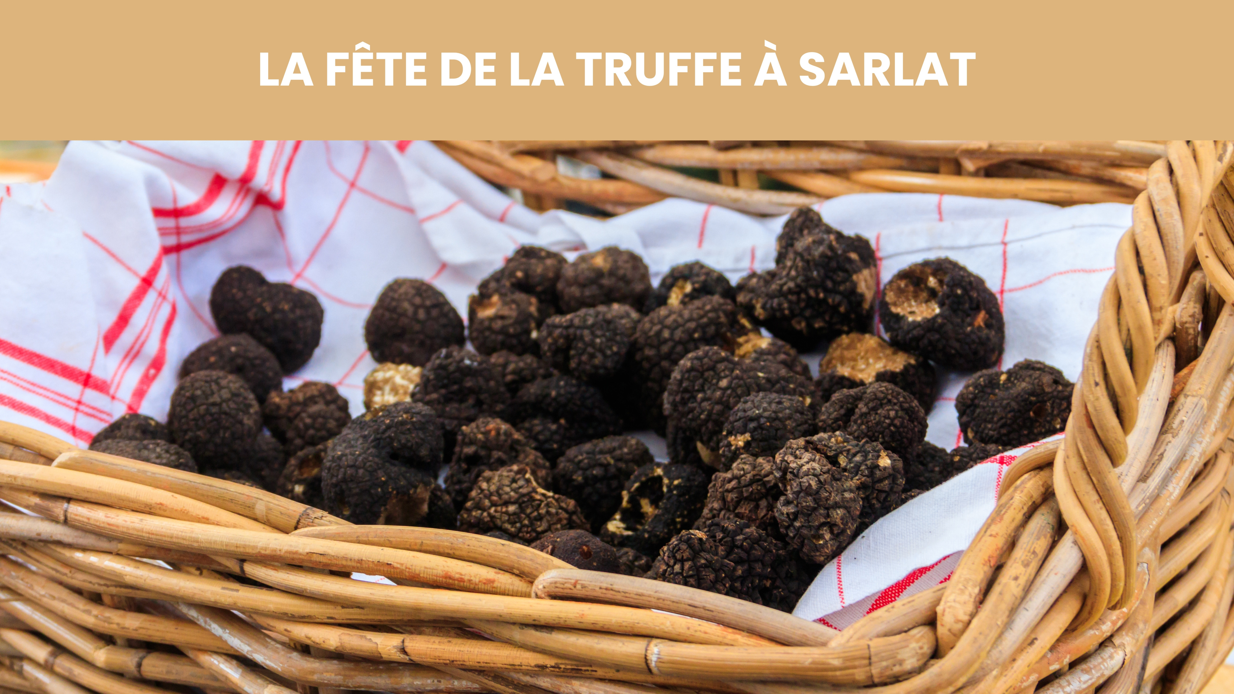 SCAL Voyages - Agence de voyages à Gap, Digne et Barcelonnette - SCAL ...