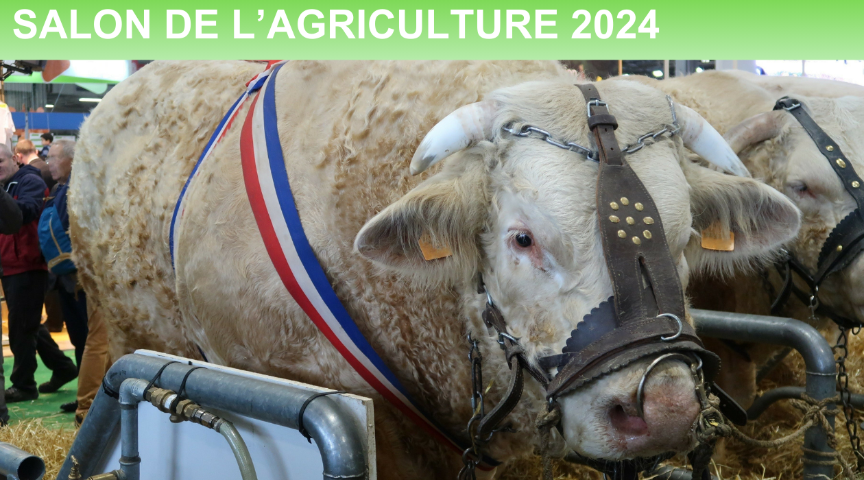 SCAL Voyages - Agence de voyages à Gap, Digne et Barcelonnette - SCAL ...